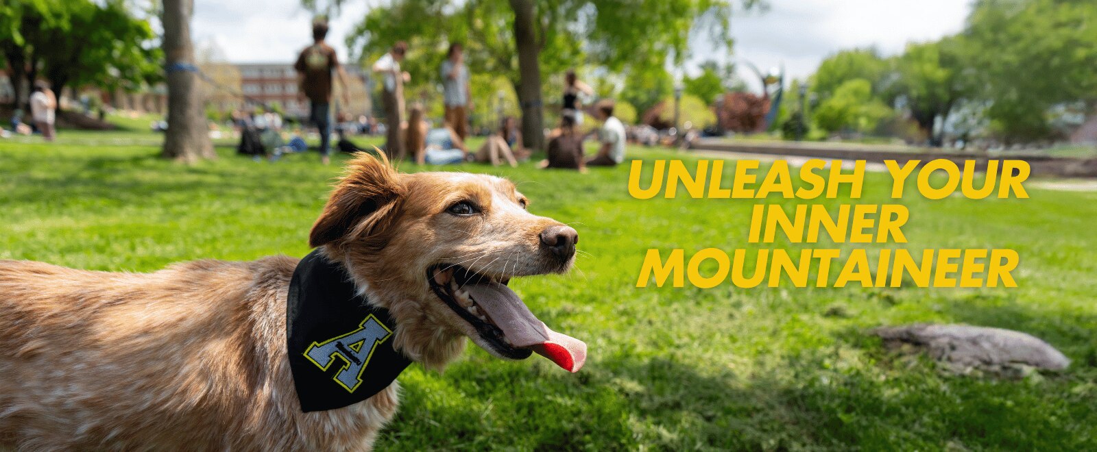 App State Campus Store | Official Store of the Mountaineers